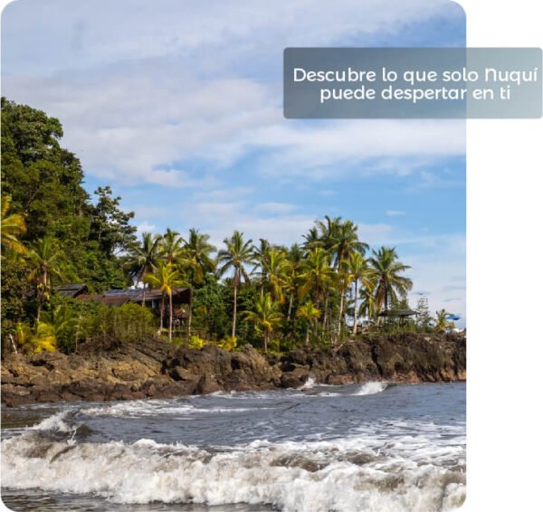 Meet and Travel Nuquí | Siempre Colombia | 4 días