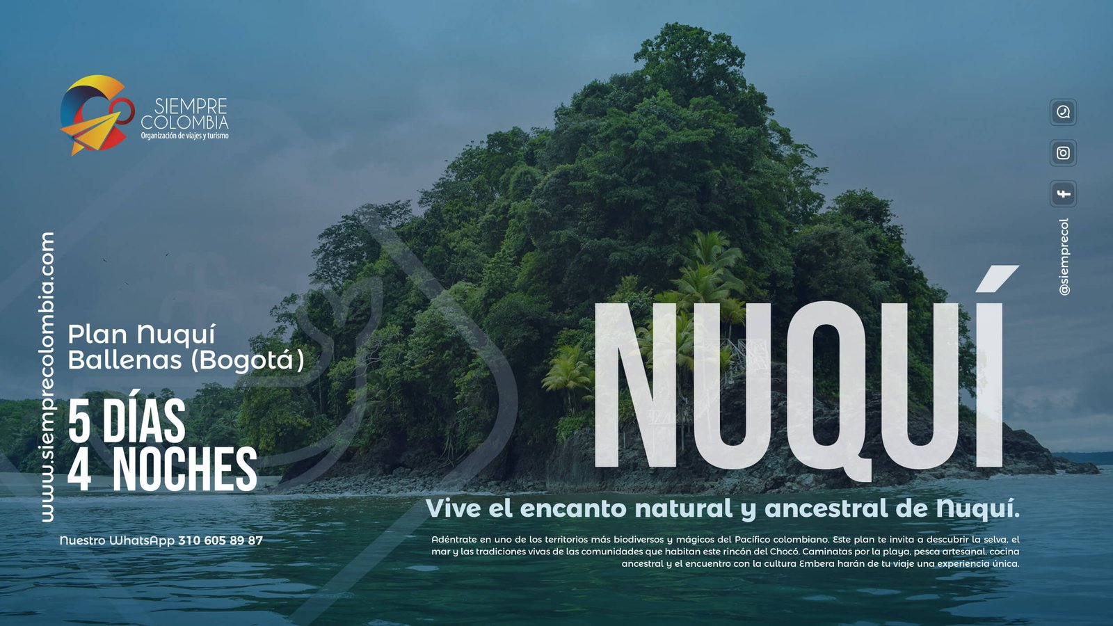 Plan Nuquí Temporada Ballenas Bogotá | Siempre Colombia